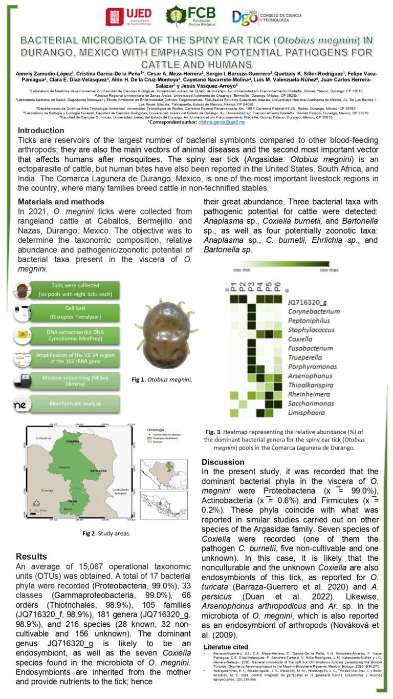 BACTERIAL MICROBIOTA POR THE SPINY EAR TICK (Otobius megnini) IN ...