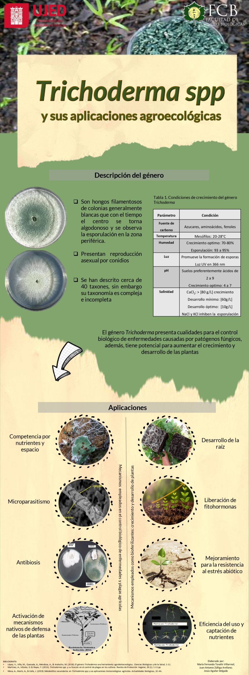 43) Trichoderma spp. Y SUS APLICACIONES AGROECOLÓGICAS – freicba