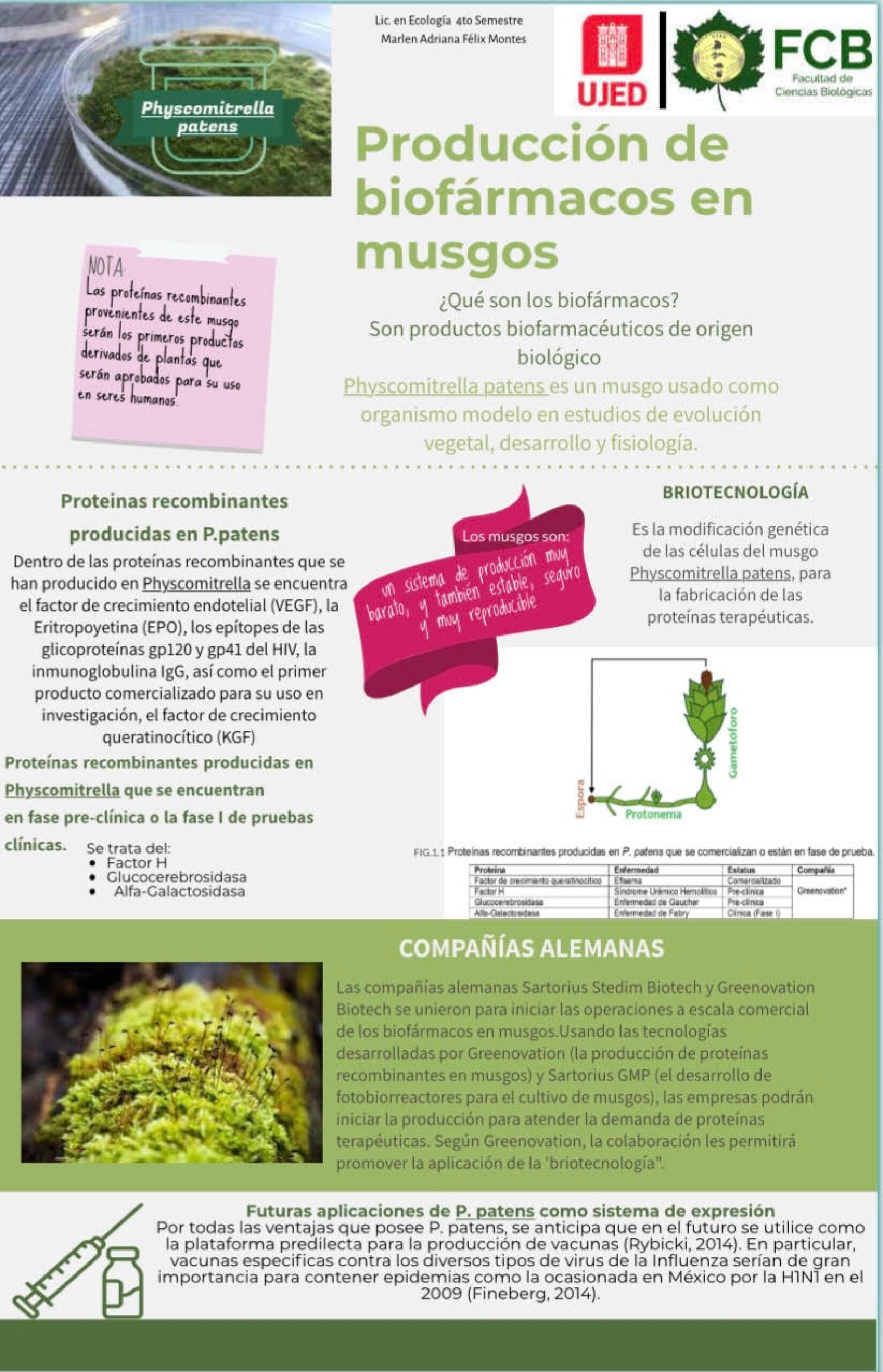 22) PRODUCCIÓN DE BIOFÁRMACOS EN MUSGOS (Phycomitrella patens) – freicba